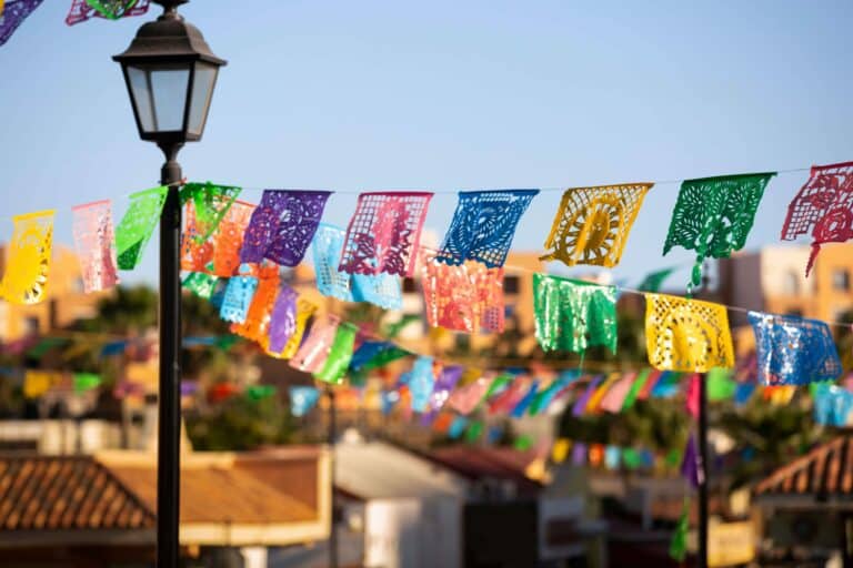 5 Things To Do In Cabo San Lucas During The Fall | La Isla Vacation Rentals